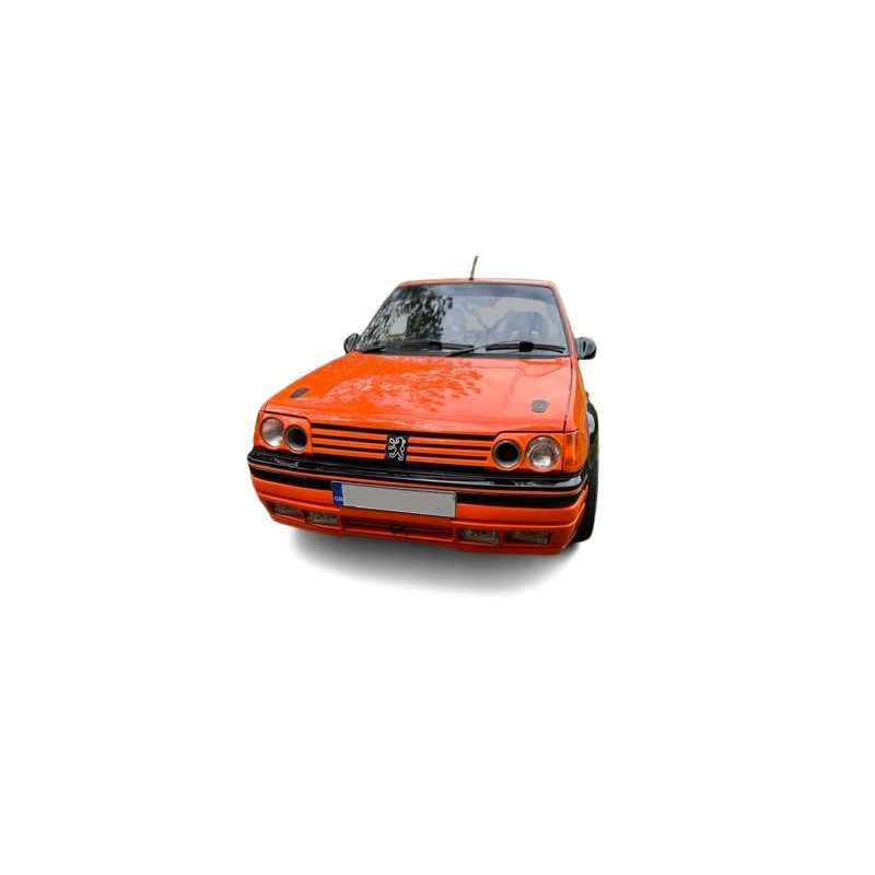 Peugeot 205 S2