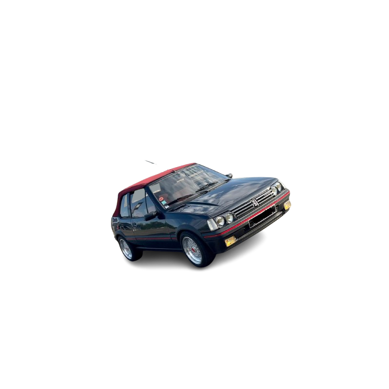 Peugeot 205 S2