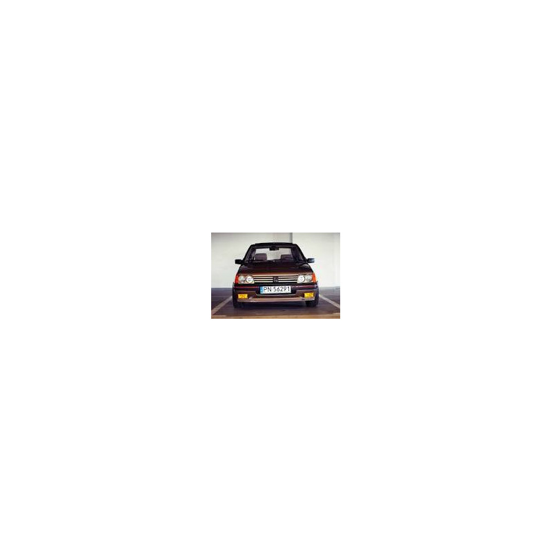 Peugeot 205 S2